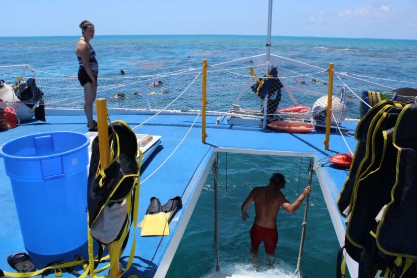 Miami: Key West Boat Tour w/ Optional Snorkeling & Open Bar - Who Should Consider This Tour?