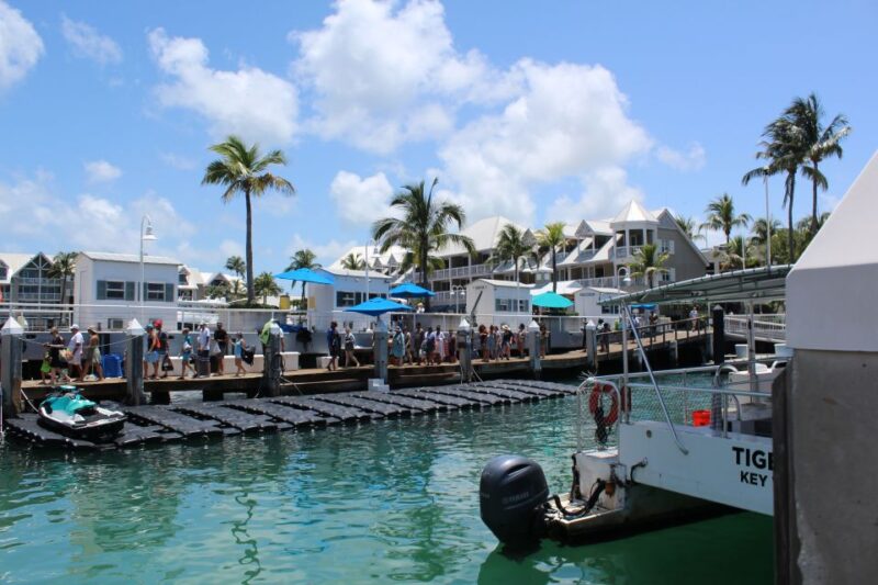 Miami: Key West Boat Tour w/ Optional Snorkeling & Open Bar - Who Will Love This Tour?
