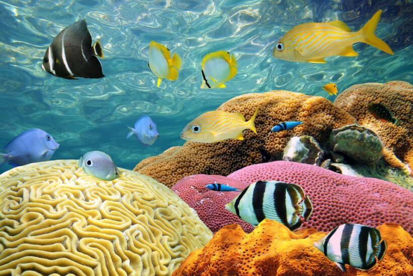 Miami: Key West Day Trip with pickup and boating options - Key Points