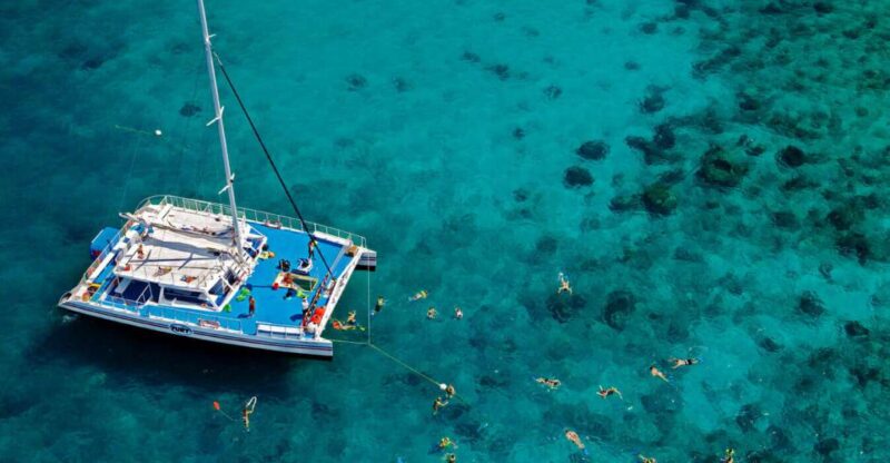 Miami: Key West with Catamaran Tour, Drinks, and Free Time - FAQs