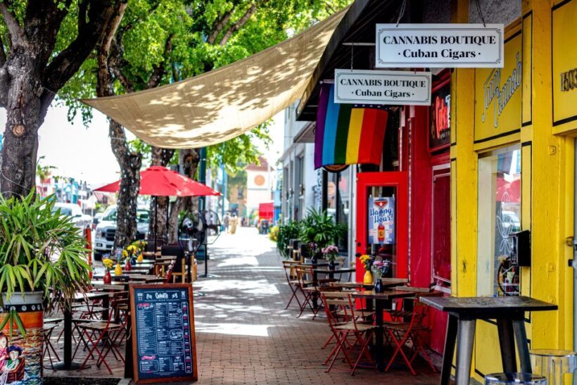 Miami: Little Havana Wow Walking Tour - Small Group Size - Final Thoughts: Who Is This Tour Best For?