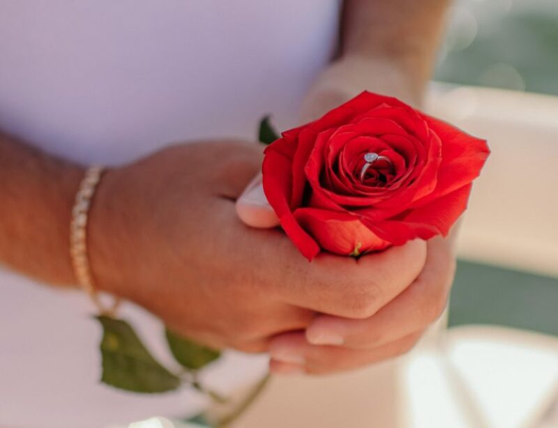 Miami: Luxury E-Boat Cruise with Wine and Charcuterie Board - The Sum Up