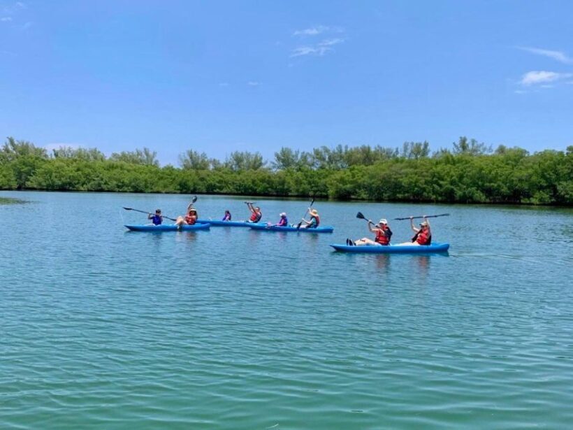 Miami: Manatee Season Paddleboard or Kayak Tour - Key Points