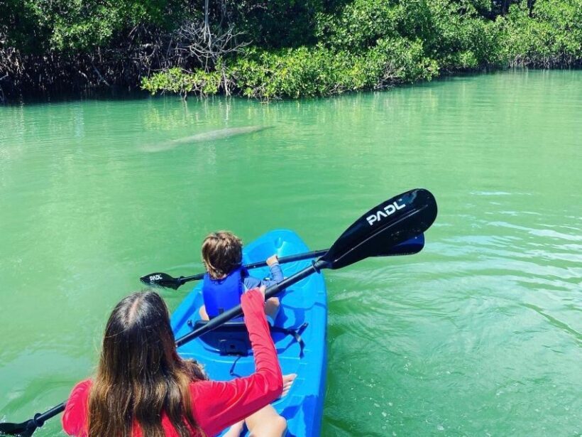 Miami: Manatee Season Paddleboard or Kayak Tour - FAQs