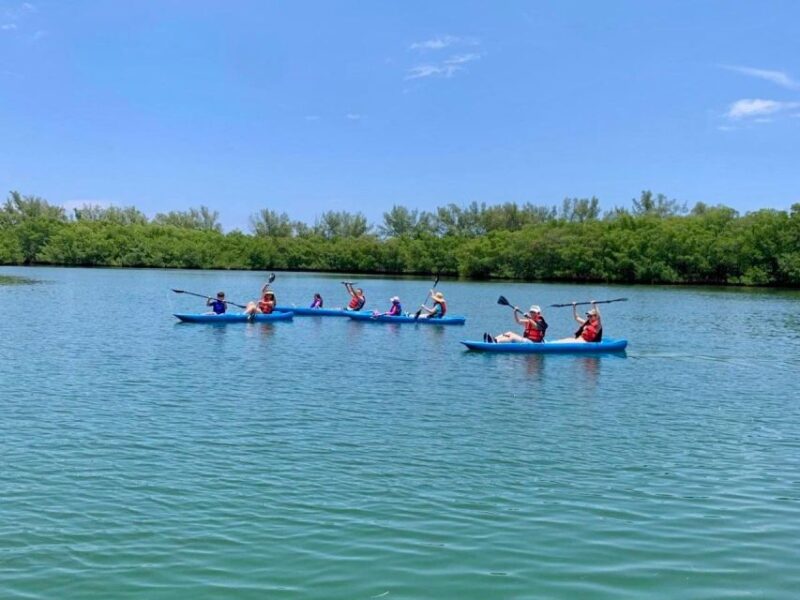 Miami: Manatee Season Paddleboard or Kayak Tour - Exploring Miami’s Natural Charm with the Manatee Season Paddleboard or Kayak Tour