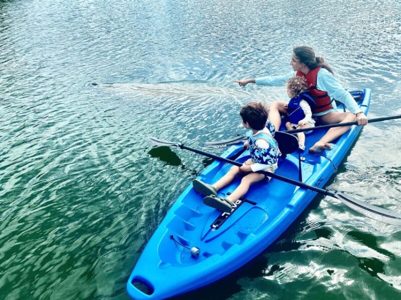 Miami: Manatee Season Paddleboard or Kayak Tour - A Close Look at the Experience