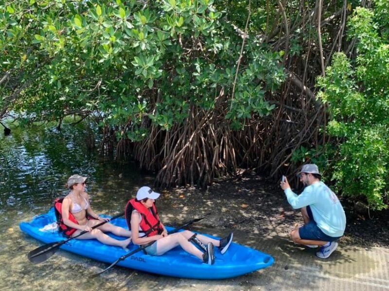 Miami: Manatee Season Paddleboard or Kayak Tour - Practical Details and Value