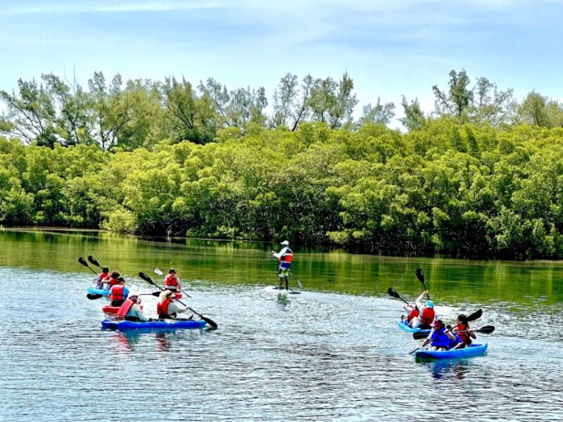Miami: Manatee Season Paddleboard or Kayak Tour - Who Should Consider This Tour?