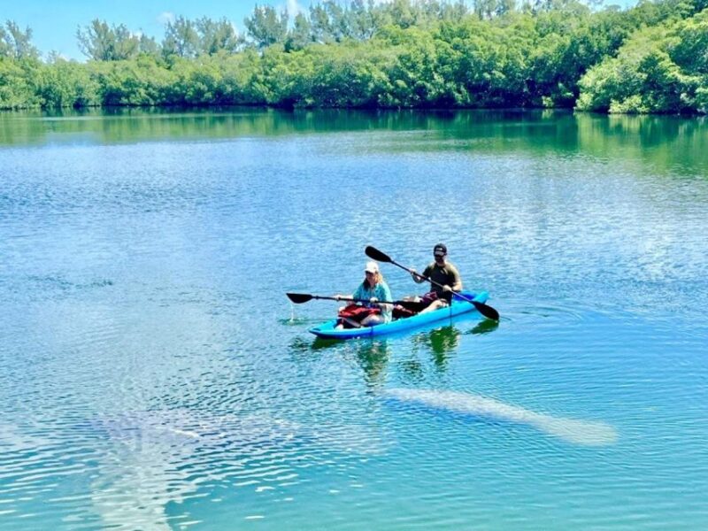 Miami: Manatee Season Paddleboard or Kayak Tour - The Sum Up