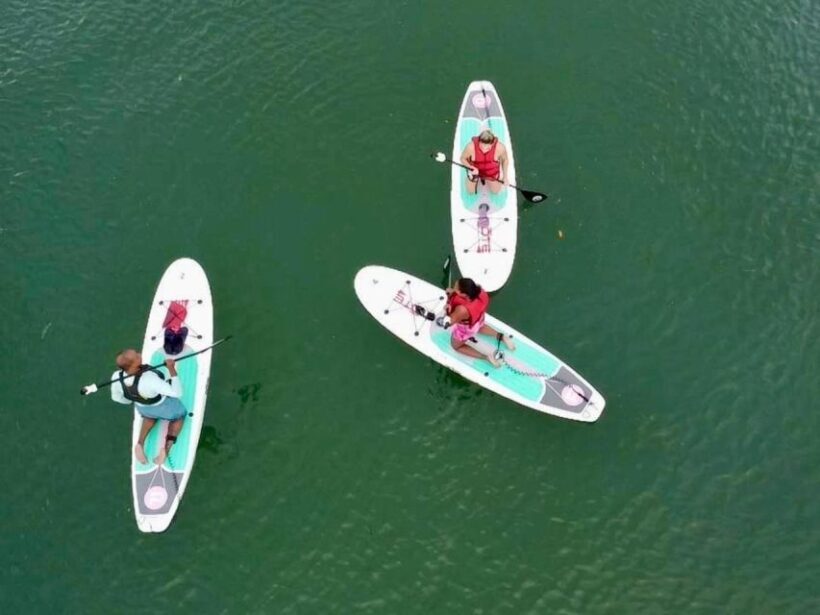 Miami: Paddle Board or Kayak Rental in Virginia Key - Final Words