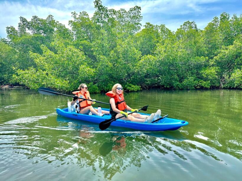 Miami: Paddle Board or Kayak Rental in Virginia Key - FAQ