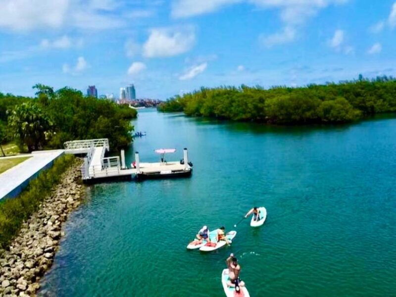 Miami: Paddle Board or Kayak Rental in Virginia Key - An In-Depth Look at the Virginia Key Paddle Adventure