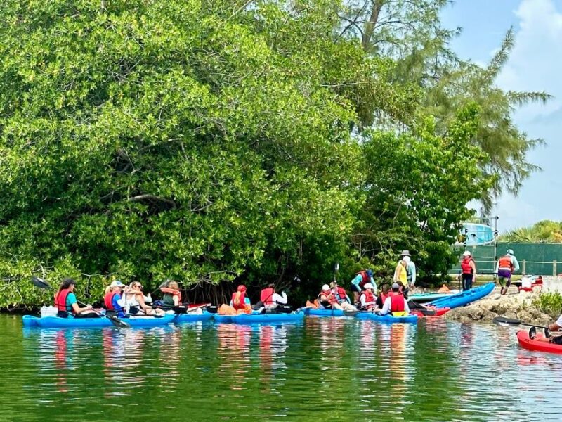 Miami: Paddle Board or Kayak Rental in Virginia Key - Authentic Experiences and Guest Feedback