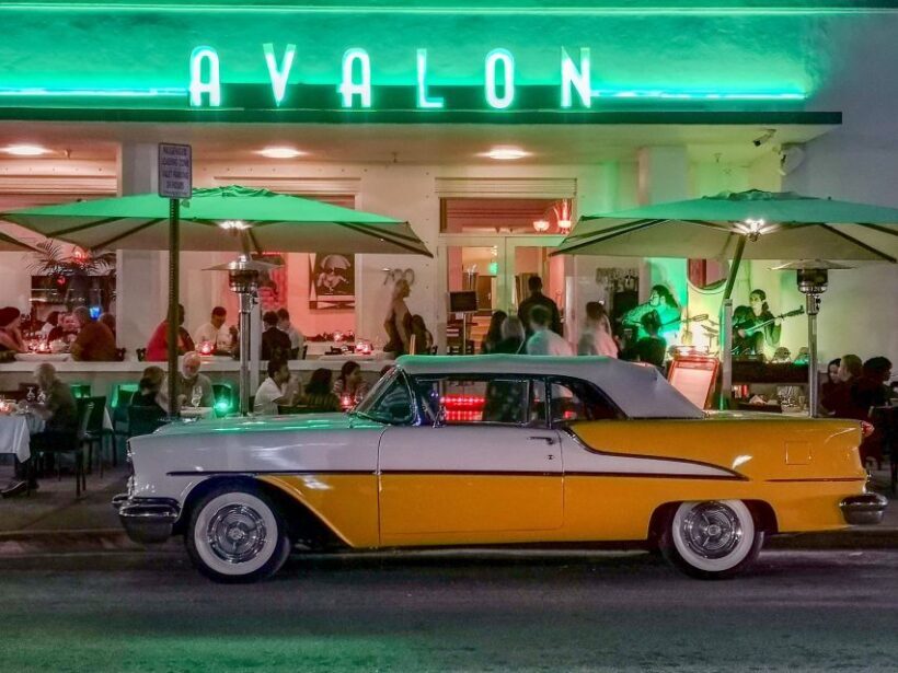 Miami Premium Driving Night Tour with Skyviews Wheel Ride - Who Will Love This Tour?