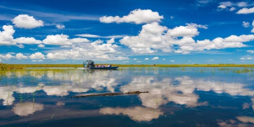 Miami Premium Everglades Driving Tour with Airboat Ride - The Sum Up