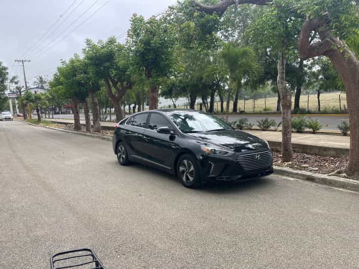 Miami: Private Airport Transfer - Authentic Experiences and Real-World Feedback