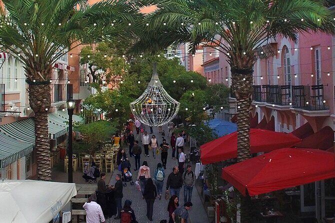 Miami Private Tour in 5 Hours - Who Will Love This Tour?