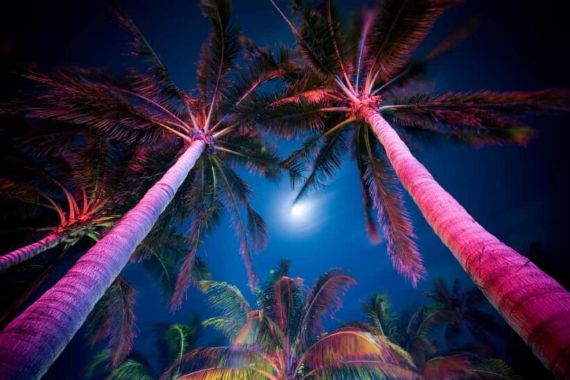 Miami Private Tour: Moonlight Magic Nightlife Experience - Who Will Love This Tour?