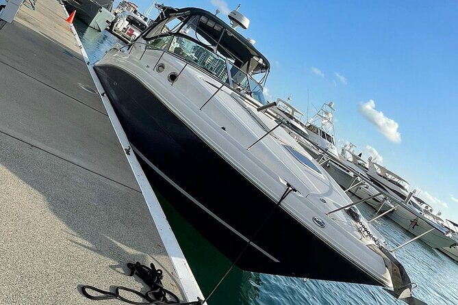 Miami Private Yacht Rental 2 to 4 hours for 12 ppl, Champagne - The Reviews Say It All