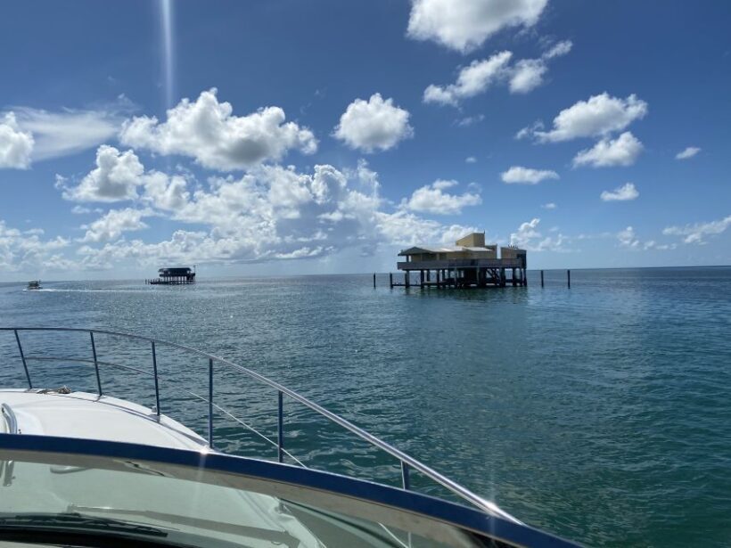 Miami: Private Yacht Rental Tour with Champagne and Snorkel - An Inside Look at the Miami Yacht Experience
