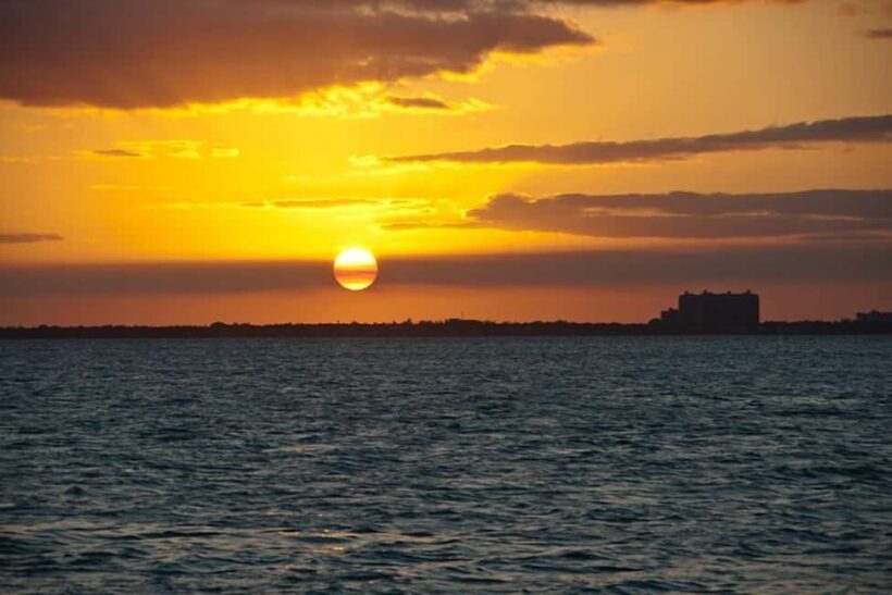 Miami: Skyline Sightseeing Cruise & Millionaire Houses - A Deep Dive into the Biscayne Bay Skyline and Celebrity Homes Tour