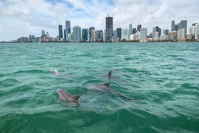 Miami Small Group Boat Tour: History, Wildlife, and Stiltsville - Practical Tips for Your Trip
