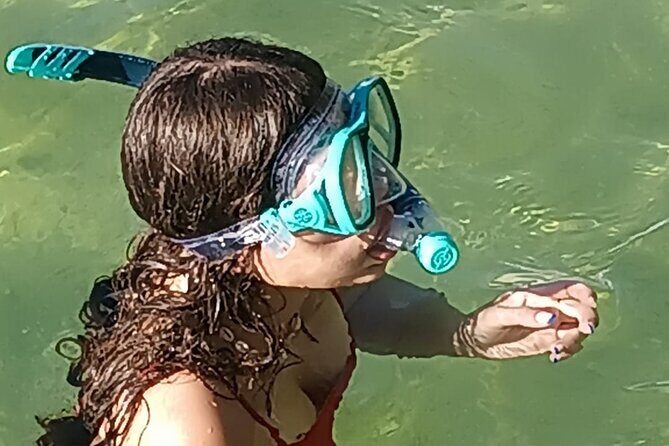 Miami: Snorkel adventure & Sandbar Trip - Who Should Consider This Tour?