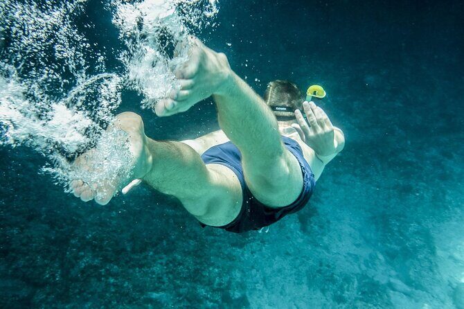Miami: Snorkeling Experience - An Authentic Look at the Miami Snorkeling Yacht Tour
