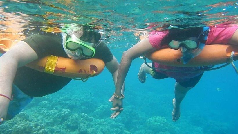 Miami Snorkeling for Beginners from Bayside Market Place - The Full Experience: What to Expect and How It Feels