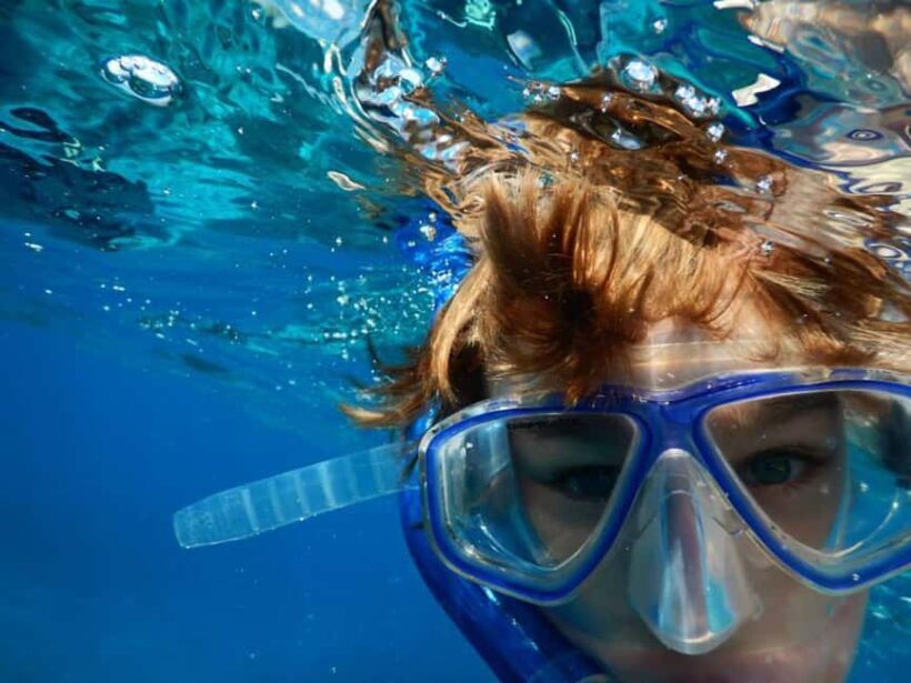 Miami Snorkeling for Beginners from Bayside Market Place - What We Love Most