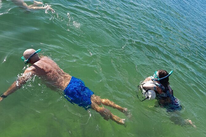 Miami: Snorkeling for Beginners Private Tour - Who Should Consider This Tour?