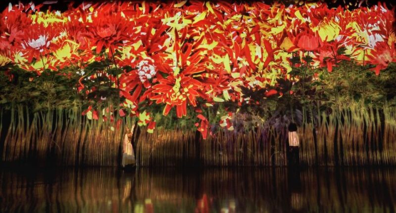 Miami: 'Superblue Miami' Immersive Art Experience Ticket - Who Should Visit?