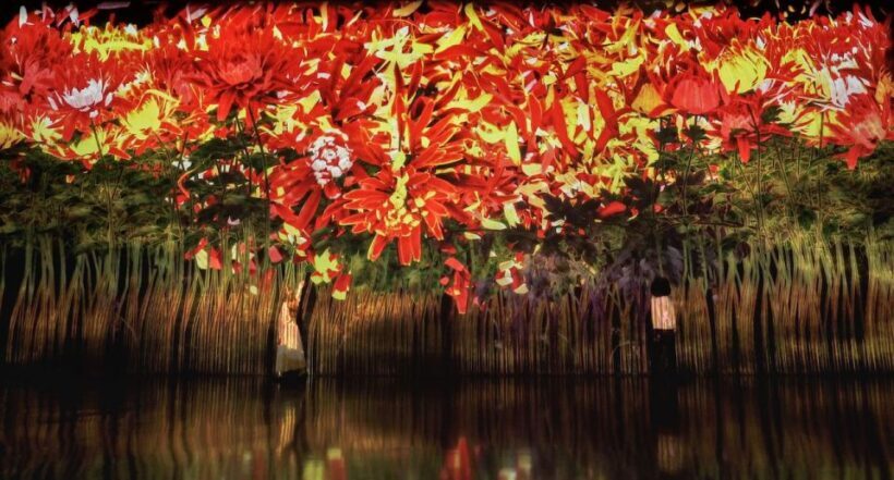 Miami: 'Superblue Miami' Immersive Art Experience Ticket - Who Should Visit?