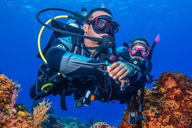 Miami Two Tank Dive Trip - The Value of this Dive Experience