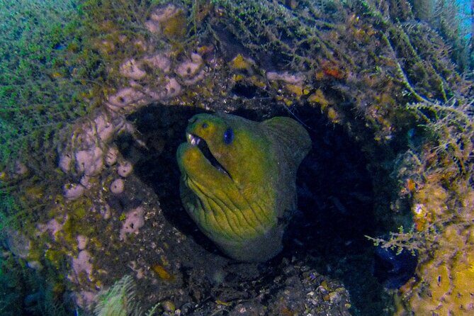 Miami Two Tank Dive Trip - The Sum Up: Is This Dive Trip Worth It?