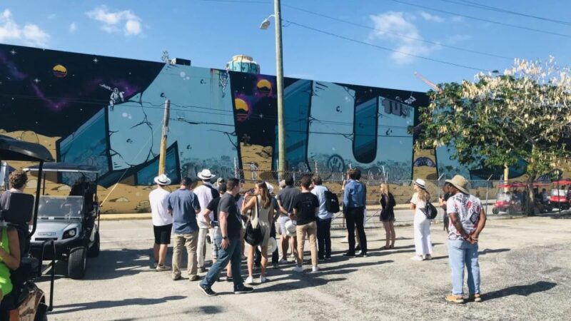 Miami: Wynwood Arts District Walking Tour - Practical Tips for Travelers