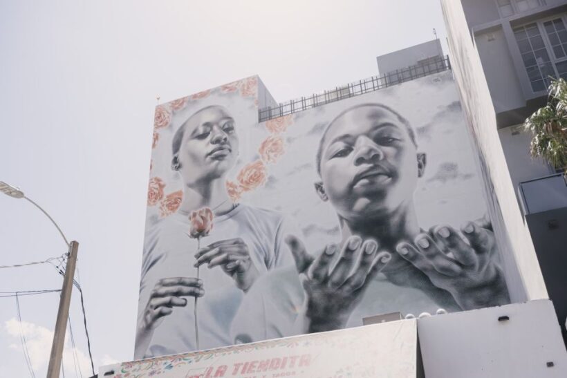 Miami: Wynwood Walking Tour - The Practical Details: Price, Duration, and Accessibility