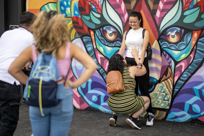 Miami: Wynwood Walls Skip-the-Line Ticket - Value for Money
