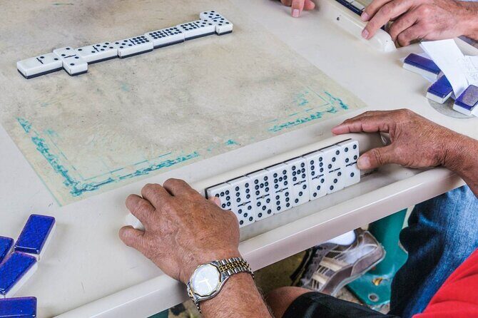 Miami's Top Bus and Citywalk Tour - Who Should Consider This Tour?