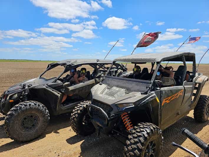 Miami's Ultimate Buggy Adventure on a Polaris RZR UTV - Who Will Appreciate This Tour?