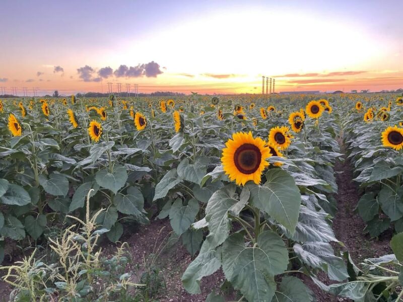 Miami's Ultimate Buggy Adventure on a Polaris RZR UTV - Authentic Feedback and What Travelers Say