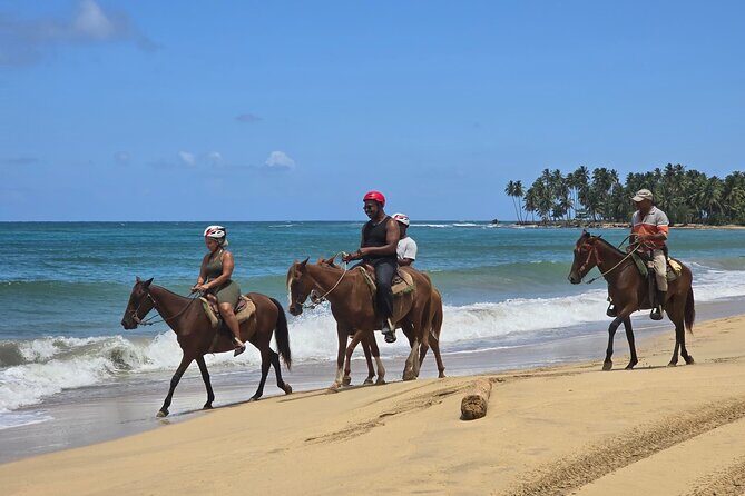 Miches Beach Horseback Riding - Exploring the Experience: What’s It Like?