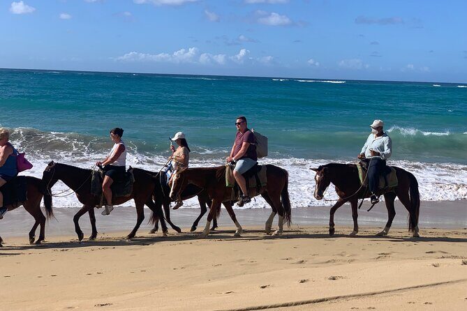 Miches Beach Horseback Riding - The Sum Up: Is It Worth It?