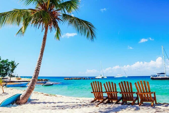 Miches Catamaran Boat to Saona Island with Buffet Lunch - Key Points