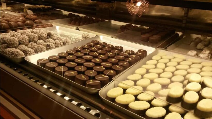 Miches: Montaña Redonda, Chocolate Factory & Horse Ride - What to Expect on Your Journey