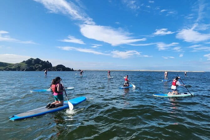 Michinoku Coastal Trail to Miyako SUP with Lunch - Key Points