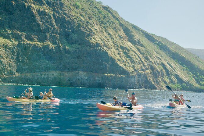 Midday Meander - Kealakekua Bay Kayak and Snorkel Adventure - Authentic Experiences and Real Traveler Feedback