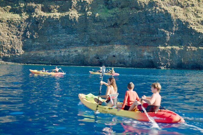 Midday Meander - Kealakekua Bay Kayak and Snorkel Adventure - The Value of This Tour