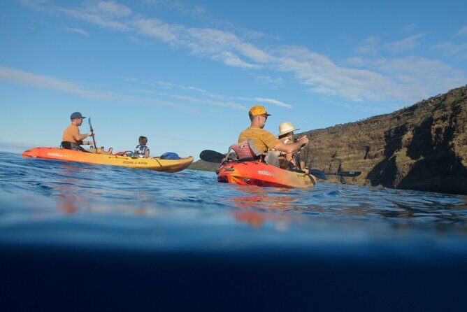 Midday Meander - Kealakekua Bay Kayak and Snorkel Adventure - Who will love this experience?