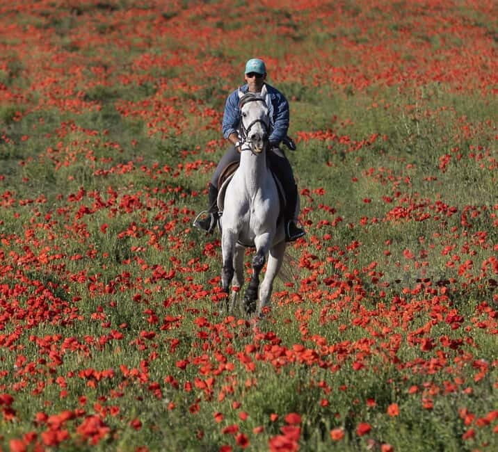 Middle day out of Rome: horsback riding adventure with meals - Exploring the “Middle Day Out of Rome”: Horseback Riding and Italian Cuisine